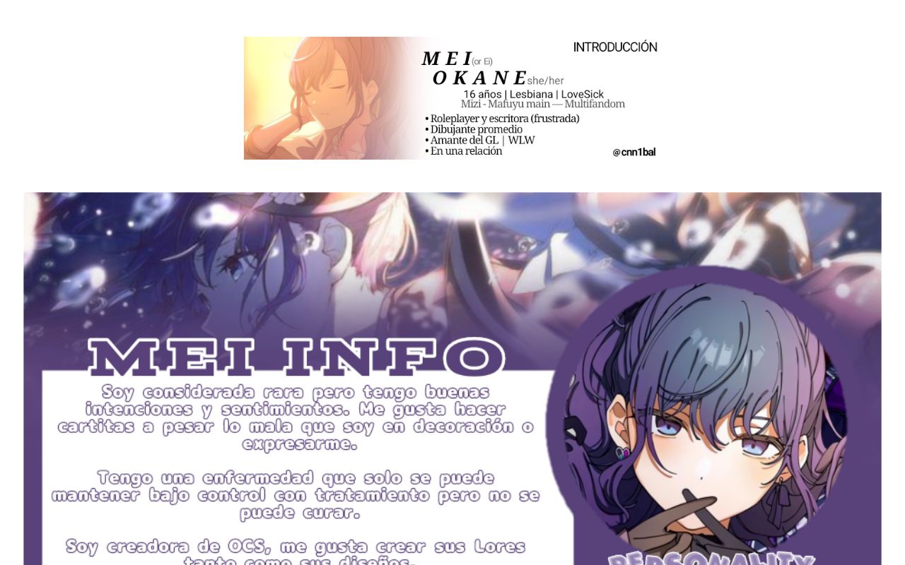 PRESENTATION ABOUT MEI ( ^^)